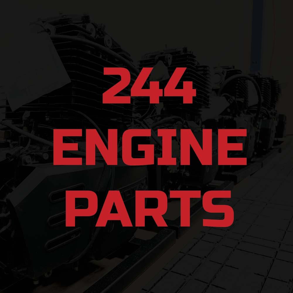 Rotax UK - Engine type - 244